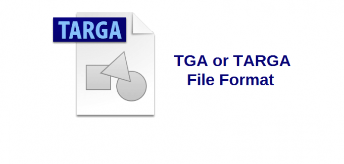 What is Truevision TGA File Format (New Version)