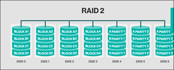 What is RAID Disk Storage Standard & Non-Standard Levels